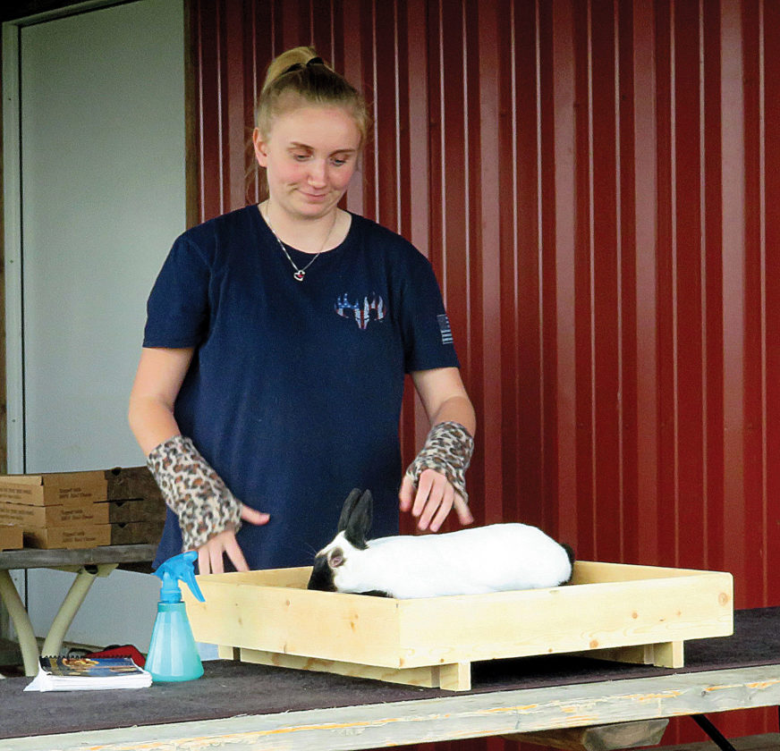 Ward County 4-H holds Livestock & Small Animal Practice Day | News ...